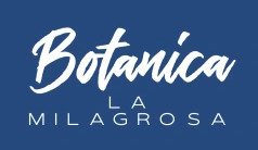 Planta Menta - Botanica la milagrosa